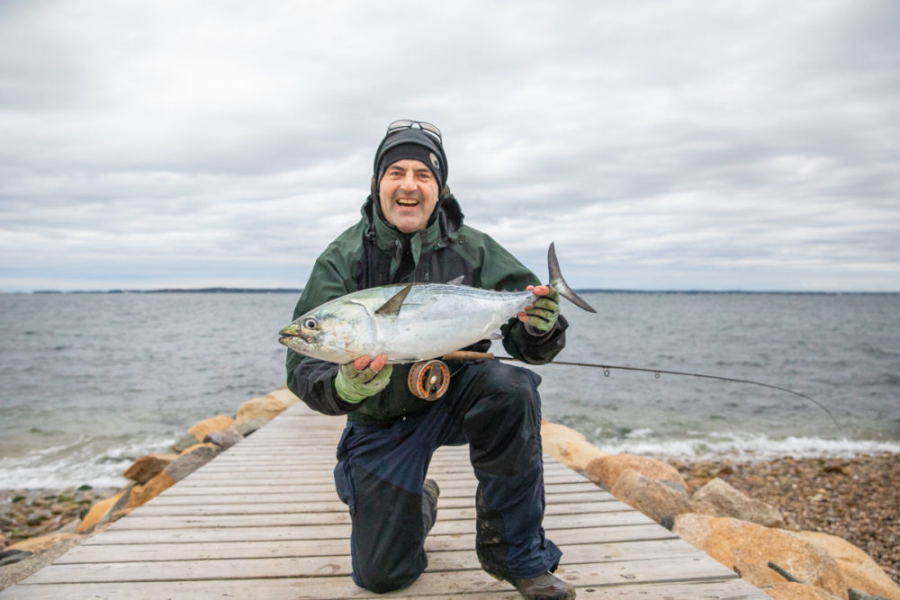 False Albacore Fly Fishing - Concord Carpenter