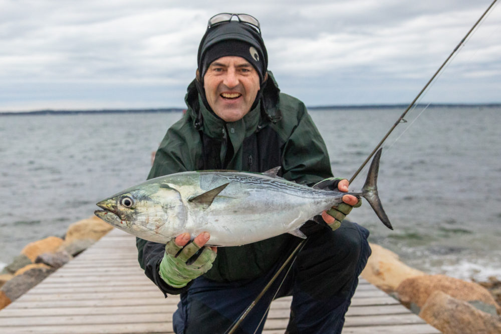 False Albacore Fly Fishing - Concord Carpenter