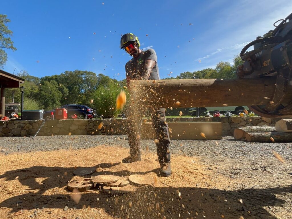 Top 20-Inch Battery Chainsaw of 2025: Head-to-Head - Concord Carpenter